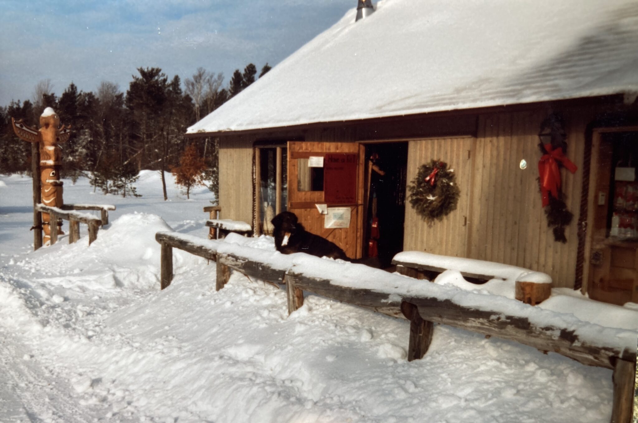 Looking back on 50 years: An interview with the founders, Bob and Lynne ...