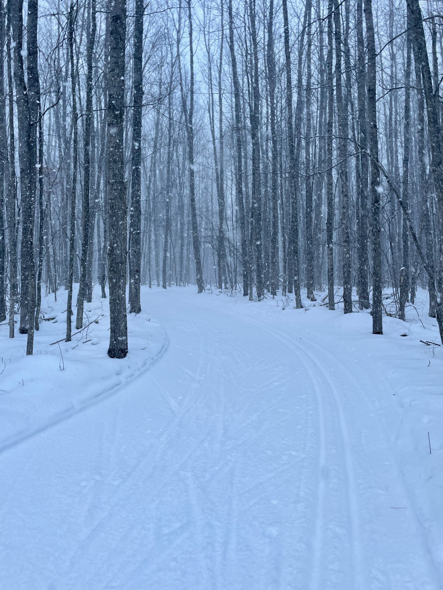 Cross Country Ski Report - Friday, January 24th - Cross Country Ski ...